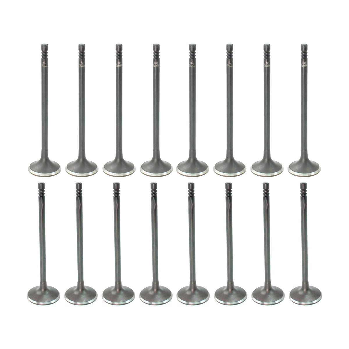 Exhaust / Intake Valve Kit — DNJ ENGINE COMPONENTS, INC.