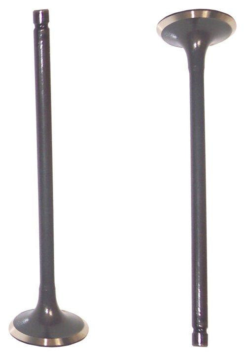 Intake Valve — DNJ ENGINE COMPONENTS, INC.