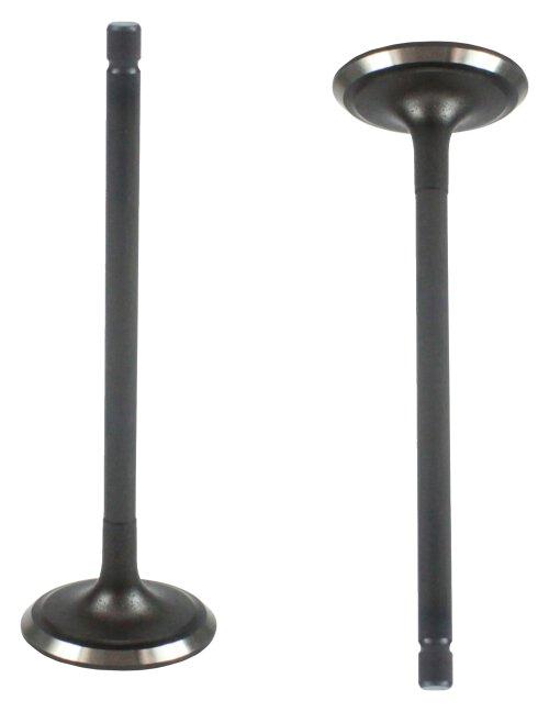Intake Valve — DNJ ENGINE COMPONENTS, INC.